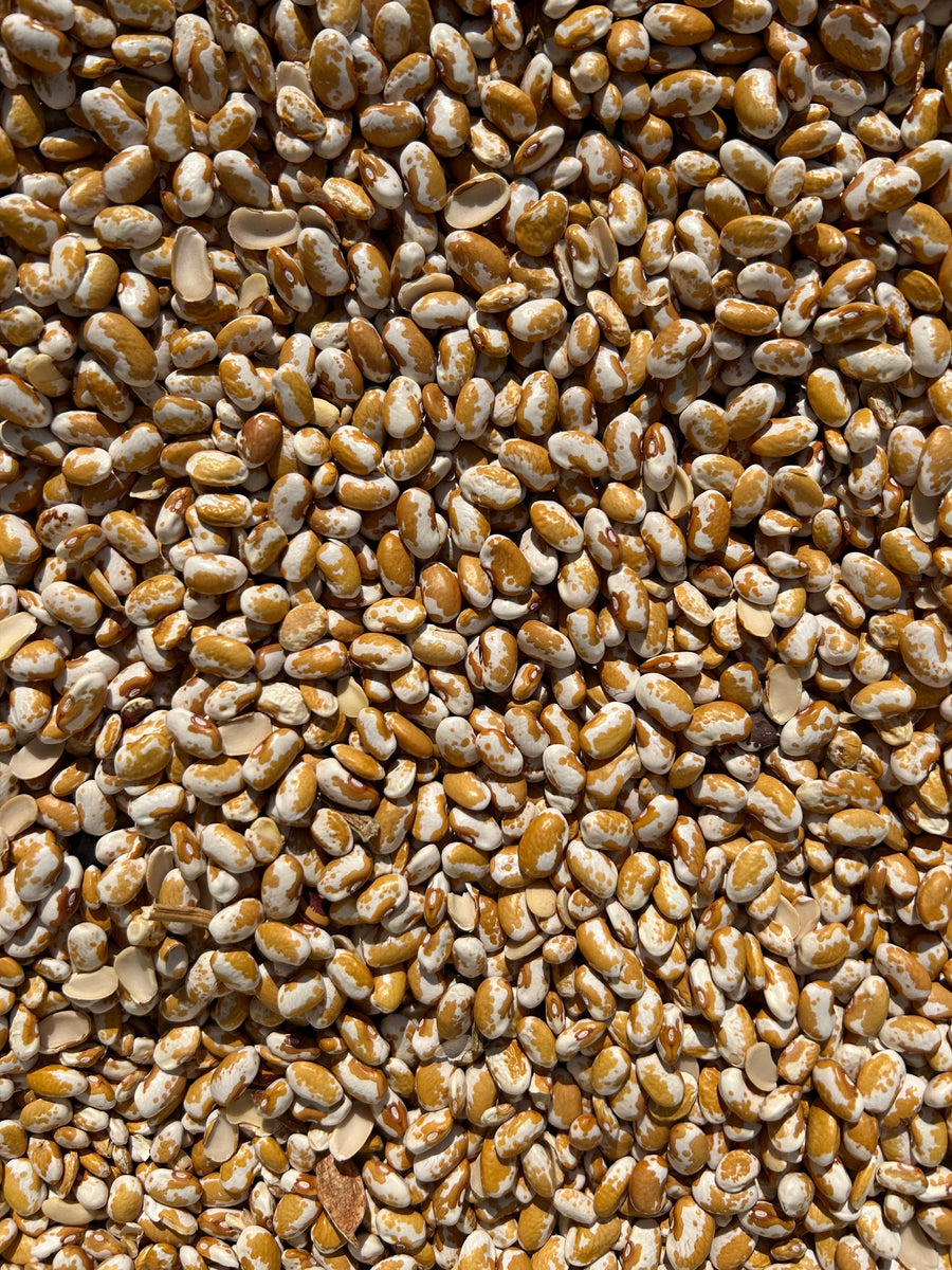 It's Bean Month: Southwest Gold Beans - February 2025 – Boonville Barn ...