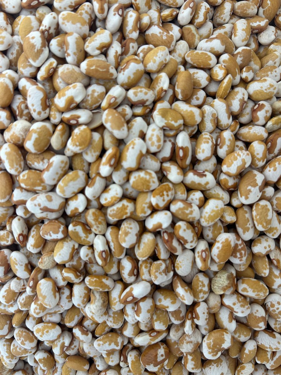 How to Cook Southwest Gold Beans - February 2026 – Boonville Barn ...